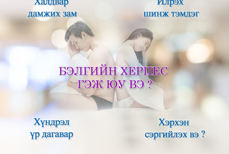 Homepage Цагаан уул эмэгтэйчүүдийн эмнэлэг